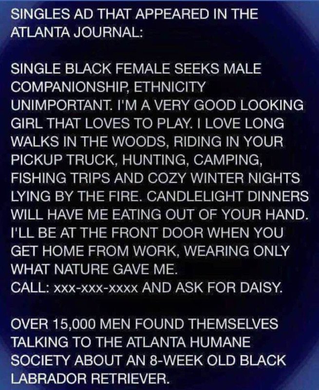 Divine Labbies, Satanic Chihuahuas -- A PSA - Bookworm Room