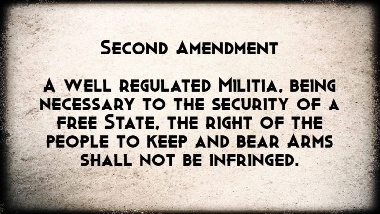 The Second Amendment special illustrated edition - Bookworm Room