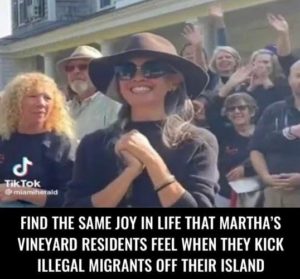 Bookworm Beat 9/22/22 – the saga of Martha’s Vineyard illustrated ...
